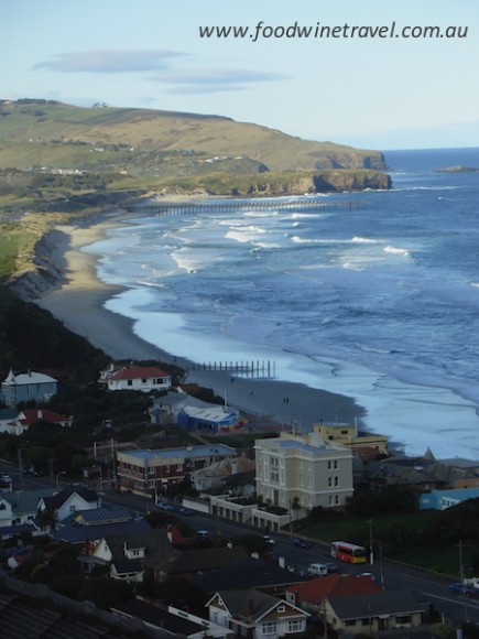 Top attractions in Dunedin, New Zealand - Food Wine Travel