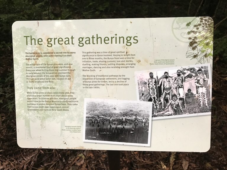 What makes the Bunya Mountains so special?