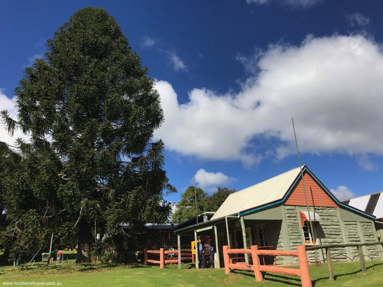 What makes the Bunya Mountains so special?