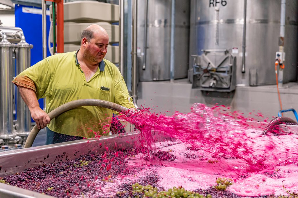 Patritti 2020 April Red: Nouveau With A Nod To The Past - Food Wine Travel