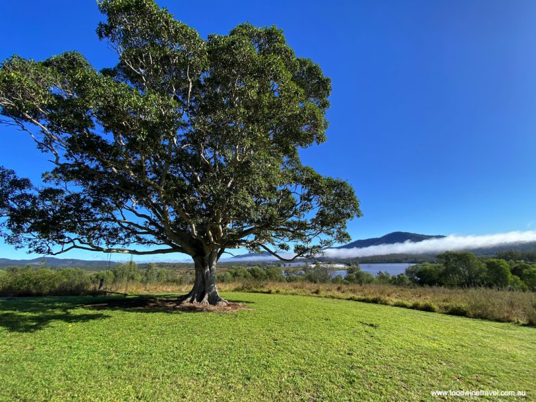Wander at The Overflow 1895 - Food Wine Travel